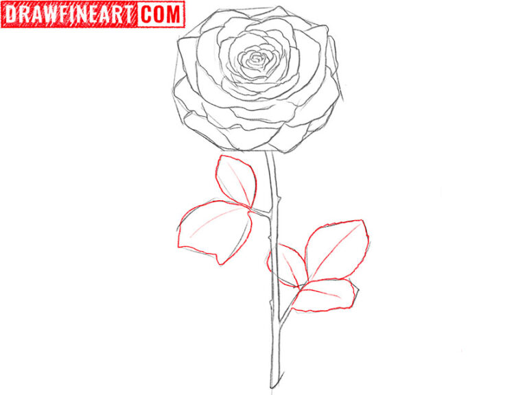How to Draw a Rose - Draw Fine Art