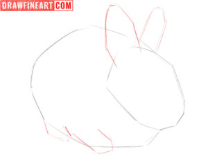 How to Draw a Bunny - Draw Fine Art