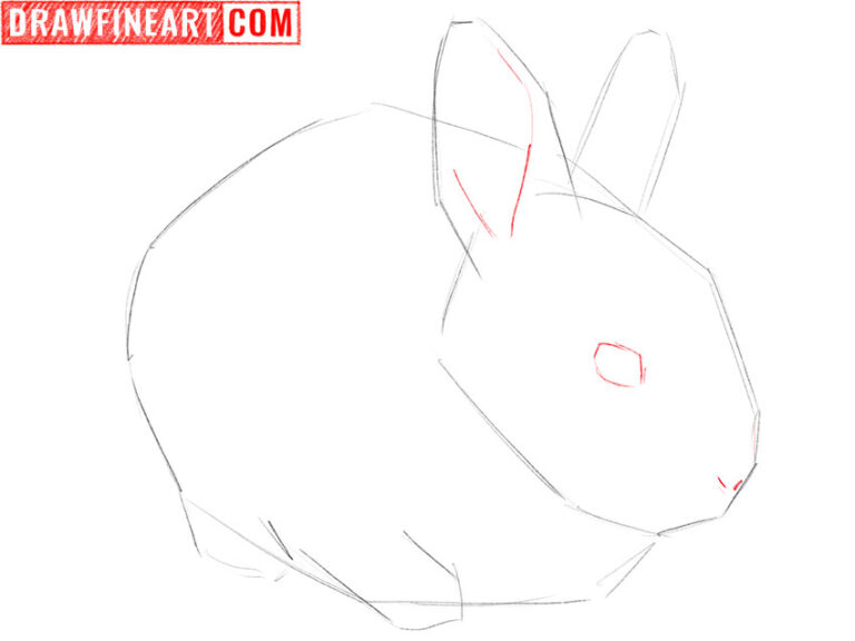 How to Draw a Bunny - Draw Fine Art