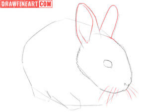 How to Draw a Bunny - Draw Fine Art
