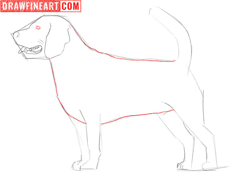 How to Draw a Dog - Draw Fine Art