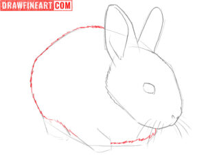 How to Draw a Bunny - Draw Fine Art