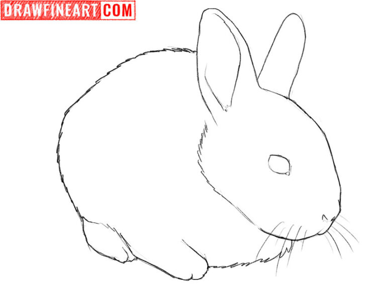 How to Draw a Bunny - Draw Fine Art