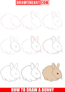 How to Draw a Bunny - Draw Fine Art