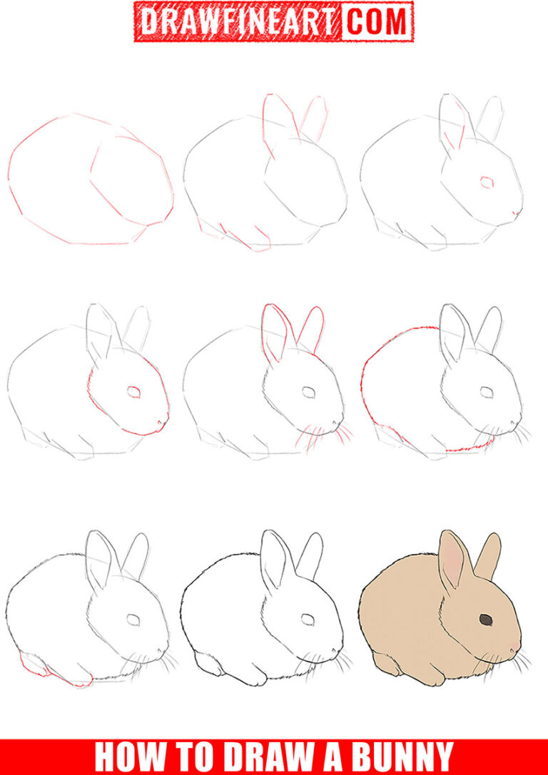 How to Draw a Bunny - Draw Fine Art
