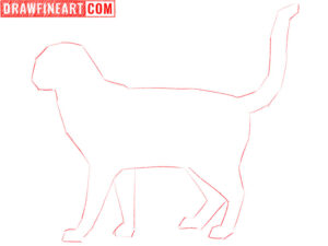 How to Draw a Cat - Draw Fine Art