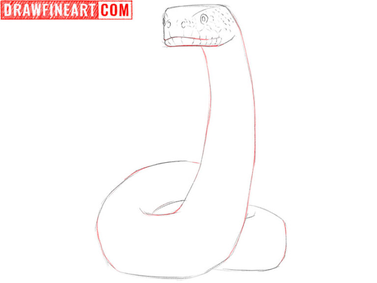 How to Draw a Snake - Draw Fine Art
