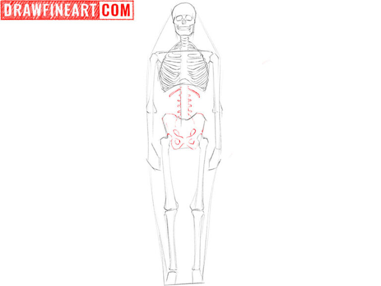 How to Draw a Skeleton - Draw Fine Art