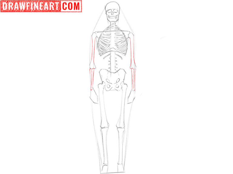 How to Draw a Skeleton - Draw Fine Art