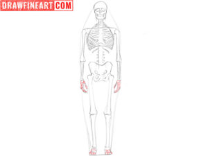 How to Draw a Skeleton - Draw Fine Art