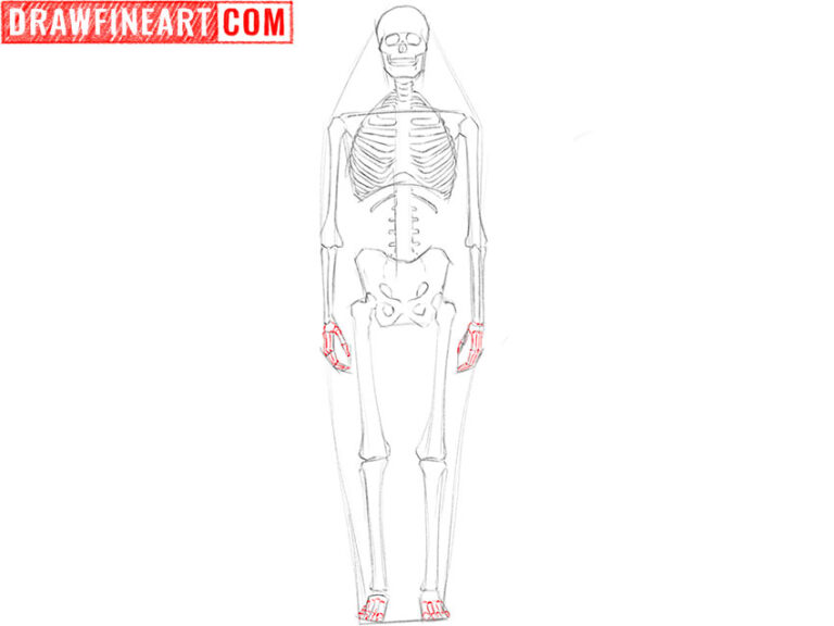 How to Draw a Skeleton - Draw Fine Art
