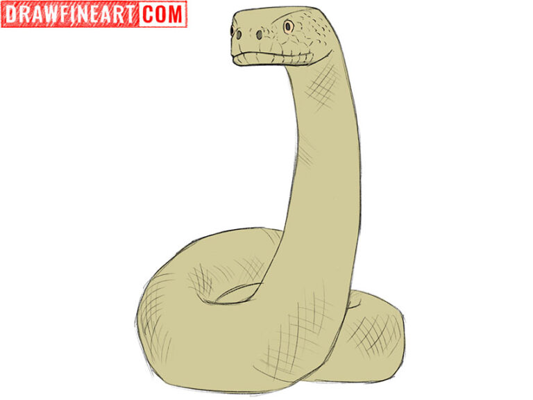 How to Draw a Snake - Draw Fine Art