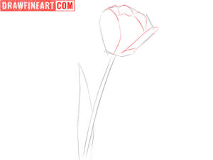 How to Draw a Flower - Draw Fine Art