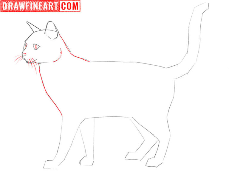 How to Draw a Cat - Draw Fine Art