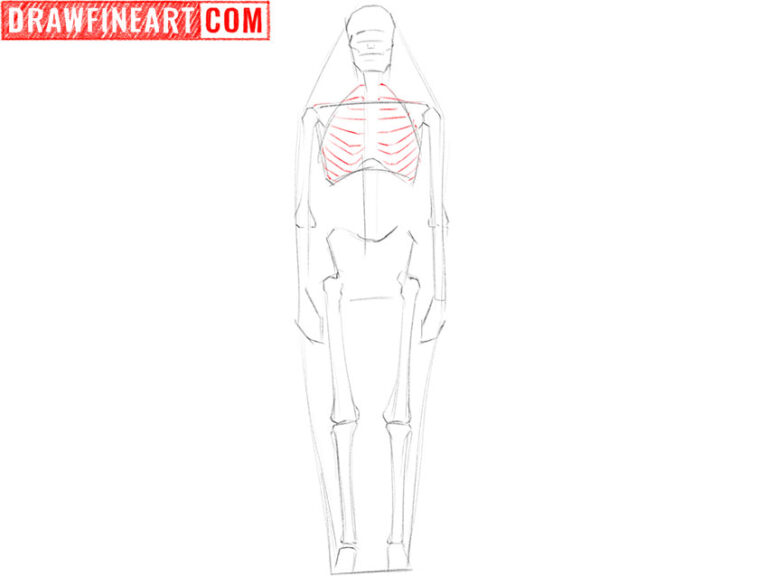 How to Draw a Skeleton - Draw Fine Art