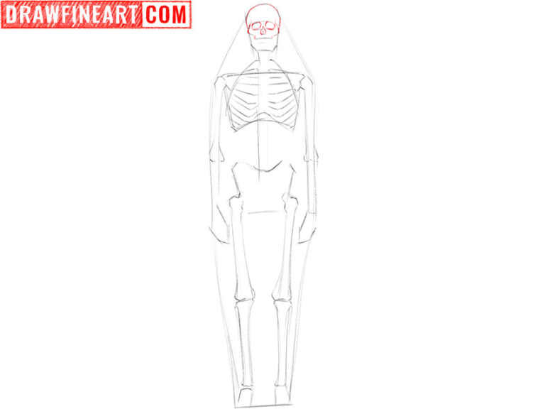 How to Draw a Skeleton - Draw Fine Art