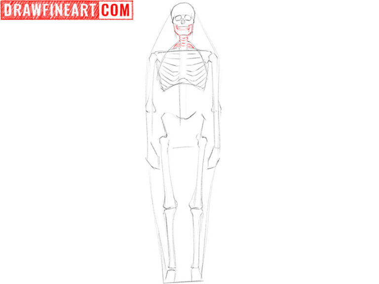 How to Draw a Skeleton - Draw Fine Art