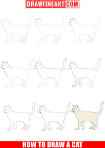 How to Draw a Cat - Draw Fine Art