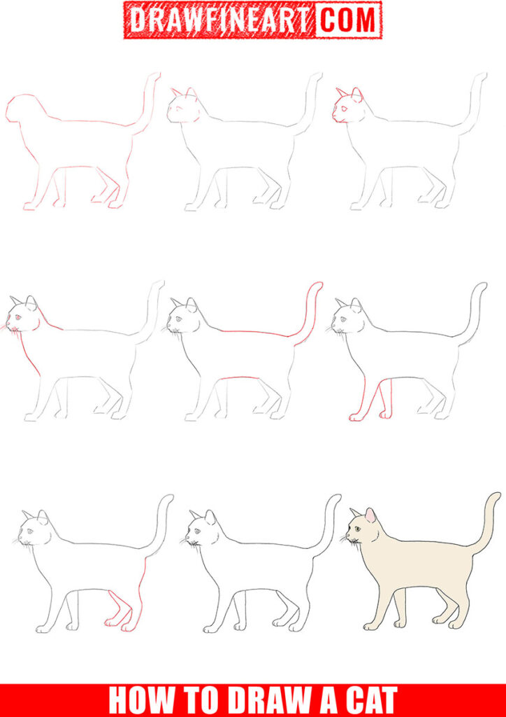How to Draw a Cat - Draw Fine Art