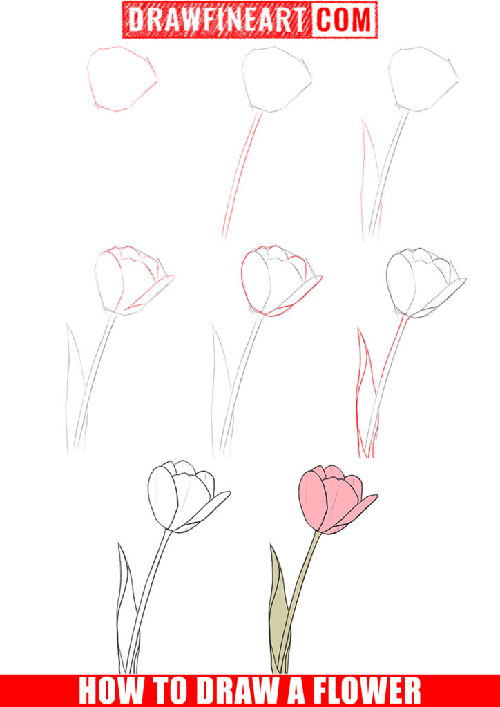 How to Draw a Flower - Draw Fine Art