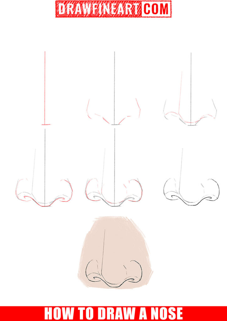 How to Draw a Nose - Draw Fine Art
