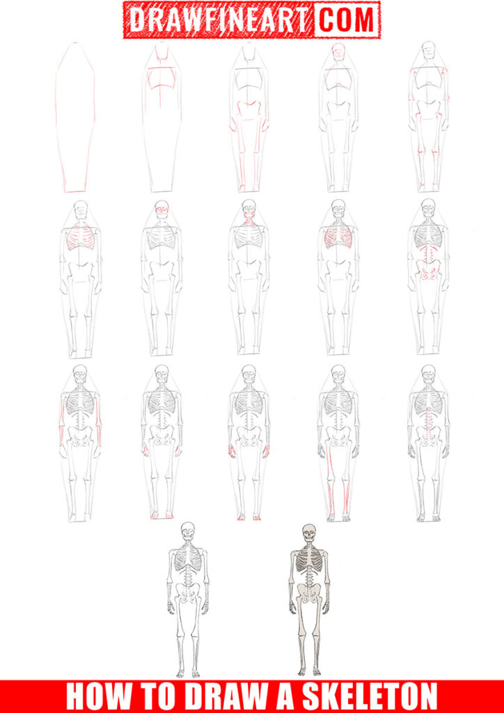 How to Draw a Skeleton - Draw Fine Art