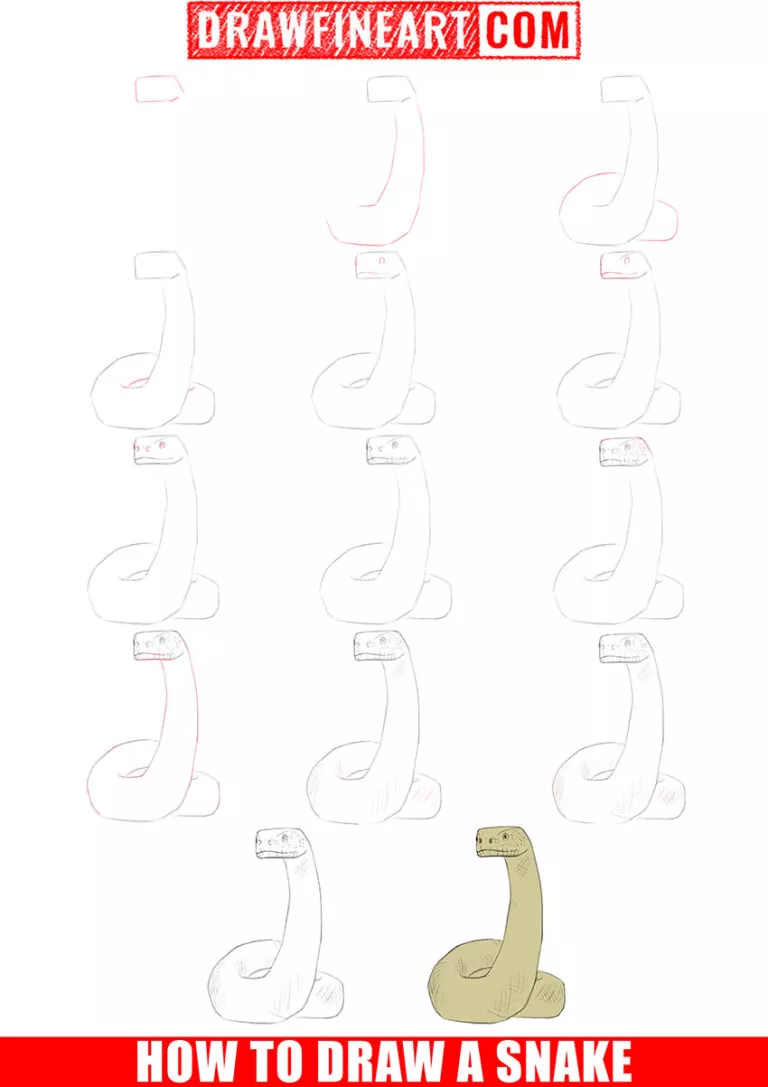 How to Draw a Snake - Draw Fine Art